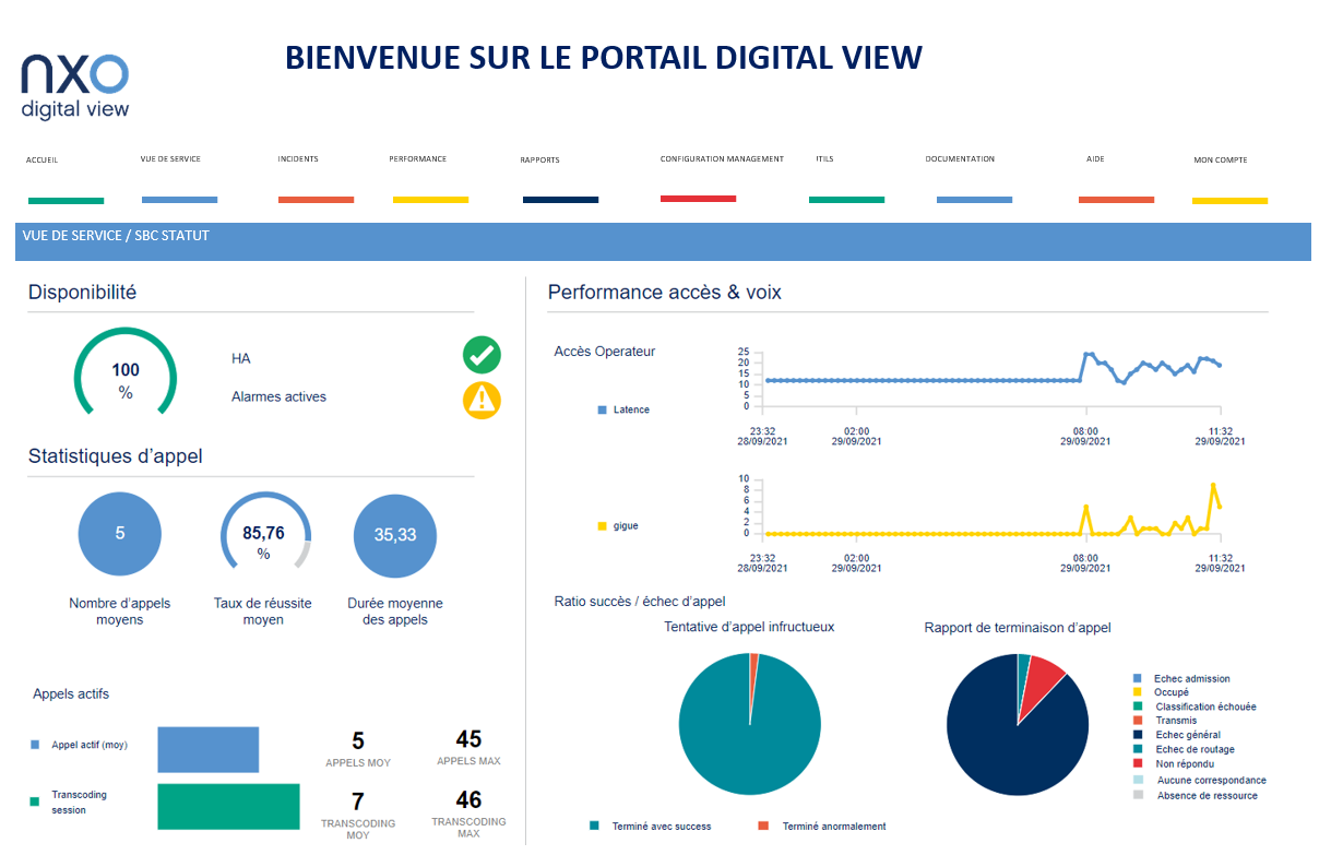 Supervision informatique: monitoring IT - NXO