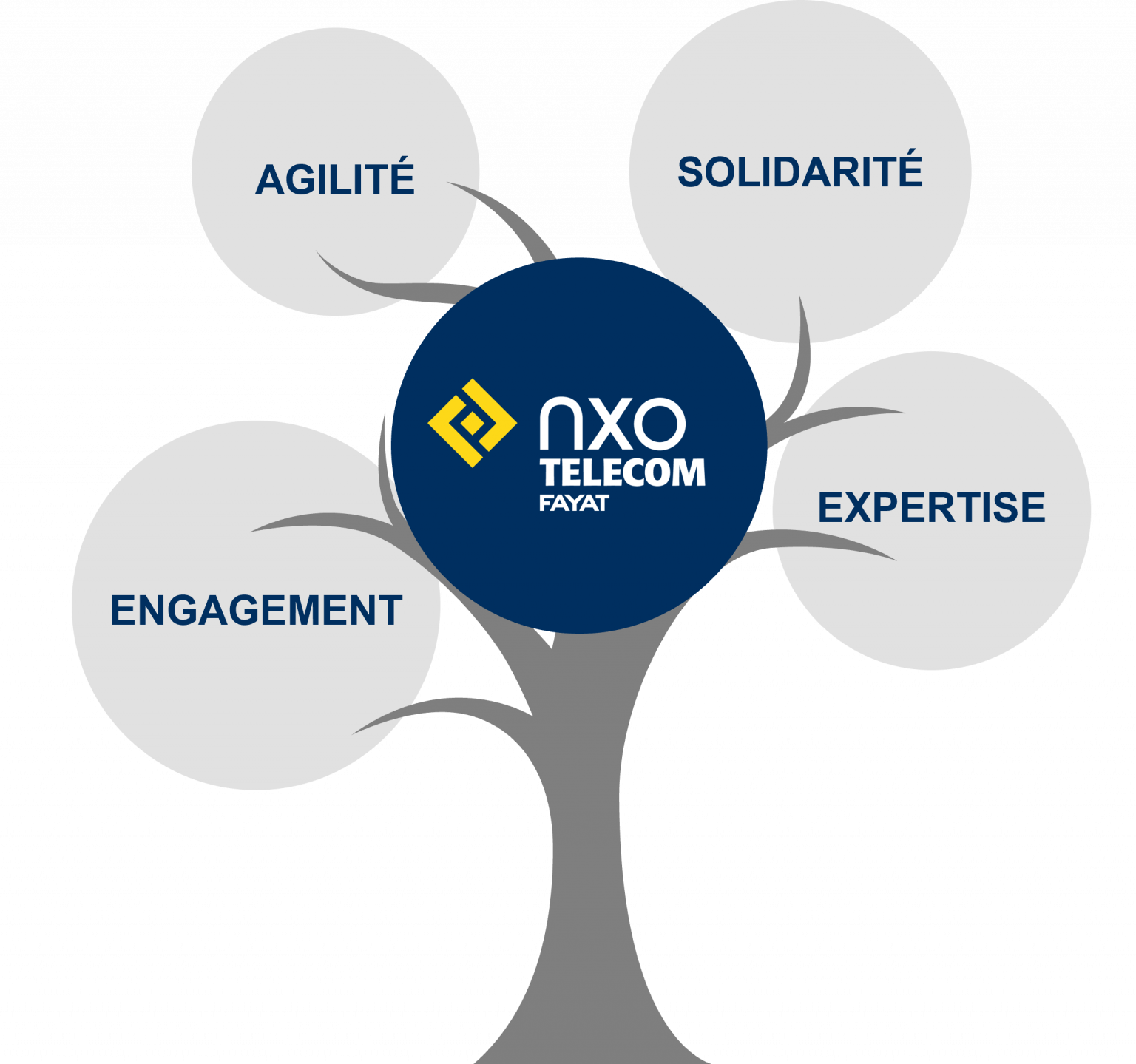 NXO Télécom, filiale de NXO France dans l'Est de la France
